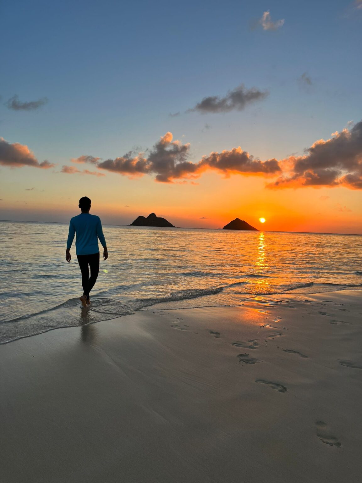 The Hawaiian Honu – Symbol of Wisdom, Good Luck & Resilience