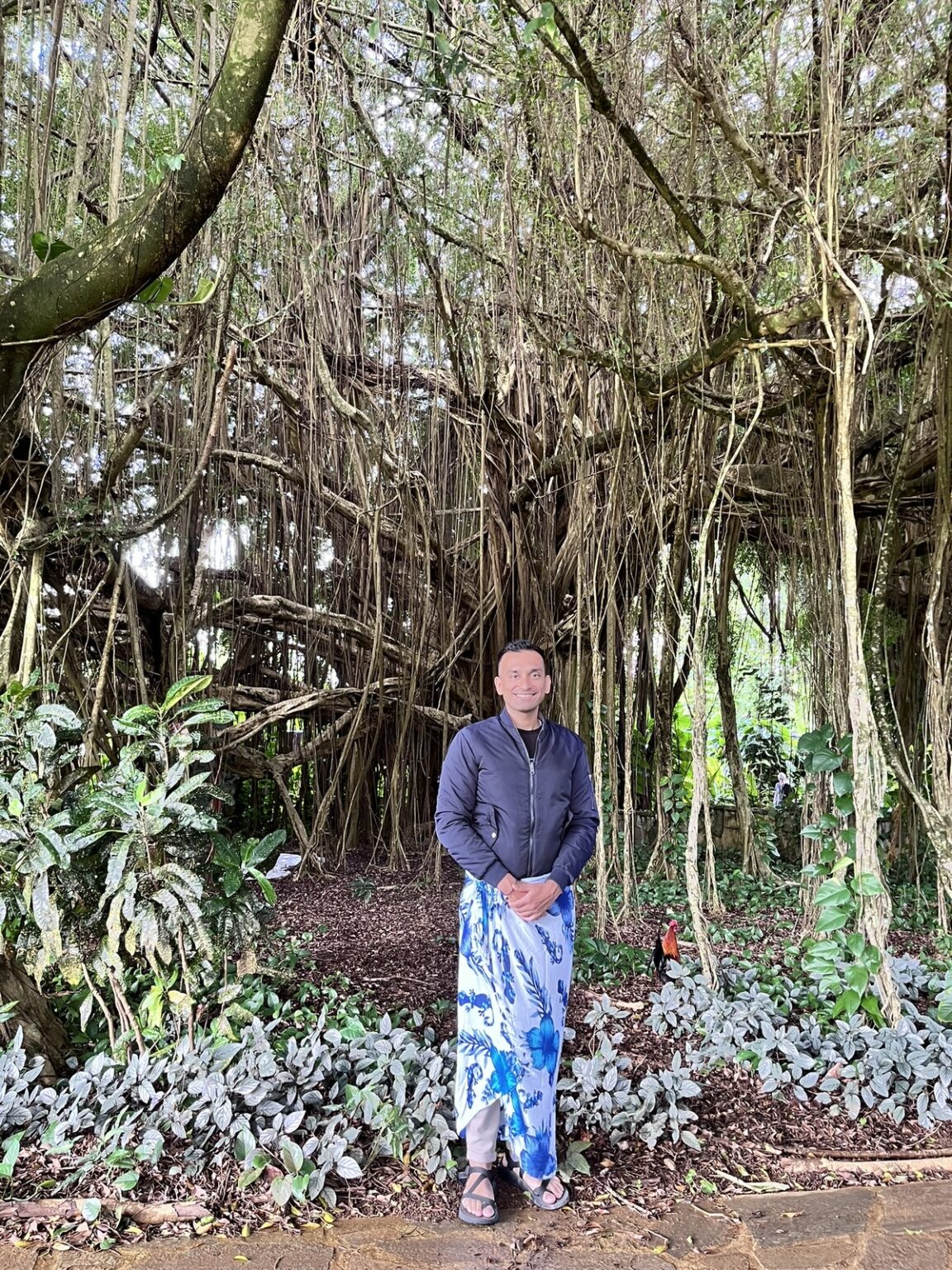 Rudraksha Forest Kauai (Read This Before Visiting)