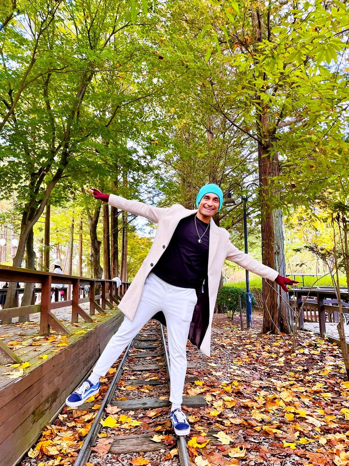 Nami Island Day Trip From Seoul - Best 2025 Detailed Guide - Namaste to ...