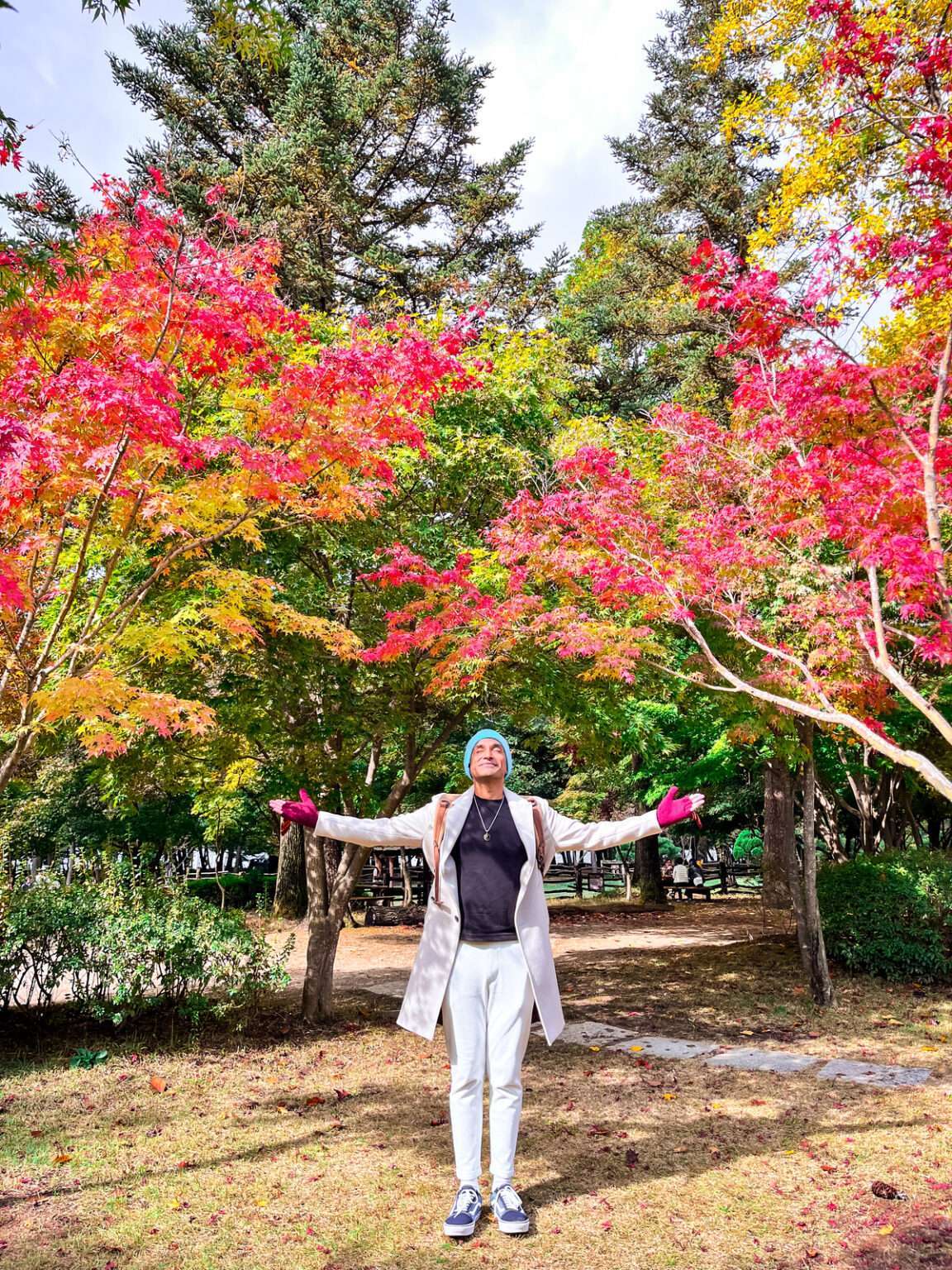 Nami Island Day Trip From Seoul - Best 2026 Detailed Guide