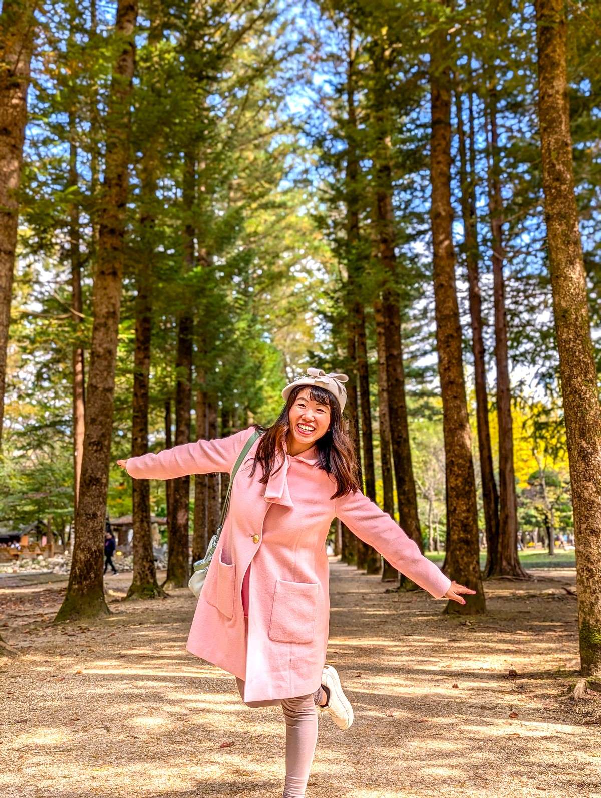 Nami Island Day Trip From Seoul - Best 2026 Detailed Guide